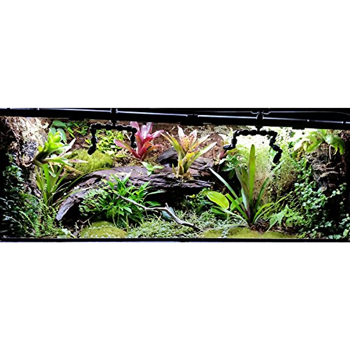 Josh's Frogs ABG Mix Tropical Plant Soil & Terrarium Vivarium Substrate (4 Quart/1 Gallon)