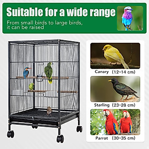 BestPet 35 inch 53 inch Wrought Iron Bird Cage with Play Open Top and Rolling Stand,Large Parrot Cage Bird Cages for Parakeets,Cockatiel, Canary, Finch, Lovebird, Parrotlet,Pigeons (35 inch)