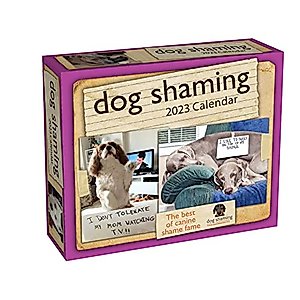 Dog Shaming 2023 Day-to-Day Calendar