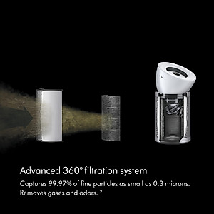 Dyson HEPA Big+Quiet Formaldehyde BP06 Large