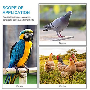 POPETPOP 200 Pcs Poultry Leg Bands Foot Identify Clip Rings Band for Pigeon Parrot Chicks Duck Lovebirds Supplies (Random Color)