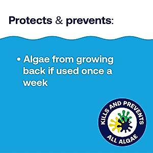 HTH Pool Care Algae Guard Advanced, Swimming Pool Chemical Kills & Prevents All Algae, Fast-Acting, 32 fl oz