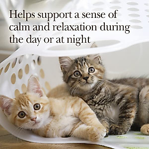 Nutri-Vet Pet-Ease Calming Paw Gel for Cats | Support for Cat Anxiety and Stress | Tasty & Easy to Give | 3 Ounce Tube