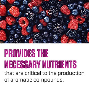 Botanicare Sweet Berry, Supplement for All Phases of Plant Growth, 1 qt.