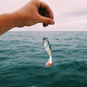 OJDXDY Set of 5 Fishing Lure Set 3D Eyes Lifelike Fishing Lures Kit Rubber Fish Baits Set Single Hook Artificial Lures Outdoor Fishing Tool, Fishing Gift for Men