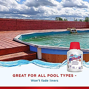 HTH 52013 Shock Treatment Swimming Pool Chlorine Cleaner, 5.5 lbs