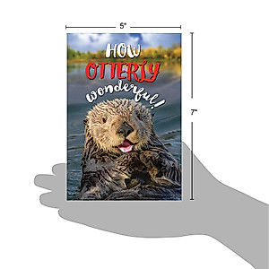 NobleWorks - Fun Congratulations Card with Envelope - Congrats Humor, Encouragement Greeting - Otterly Awesome C6574FCGG