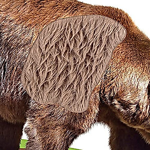 My Touch and Feel English Spanish Bilingual Picture Double Sided Sensory Flash Cards for Infant, Toddlers, Kids, Learn Animals, Fruits, Objects and Vehicles, Fun Learning and Educational Flashcards