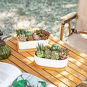 Greenaholics Succulents Planter Pots Set of 2-6.3 Inch Rectangular White Ceramic Flower Plant Pots Indoor Rectangle Pots for Plants with Bamboo Trays and Drainage Hole for Small Succulents Cactus