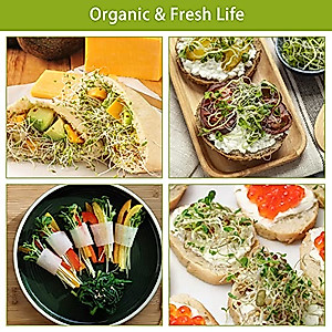 UXIVCKI Stainless Steel Seed Sprouting Kit, Stackable 2-Tier Mesh Seed Sprouting Germination Trays with Base and Lid, Seed Sprouter Set for Growing Broccoli, Alfalfa, Mung Beans