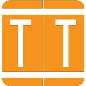 Doctor Stuff - File Folder Labels, Ringbook Sheets Alphabet Letter T, VRE/GBS 8850 - VRAM Series Compatible Alpha Stickers, Orange, 1.3" x 1.25", 200/Package