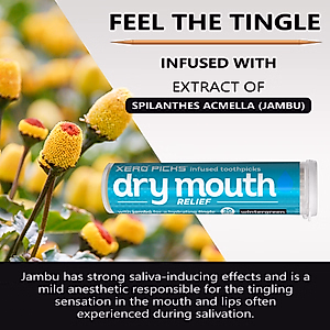 Xero Picks Dry Mouth - Infused Flavored Toothpicks for Long Lasting Fresh Breath & Dry Mouth Prevention (1 Pack - Wintergreen)