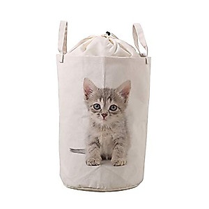 LifeCustomize Laundry Hamper Basket Small Gray Kitten Cat Print Folding Nursery Clothing Storage Bins with Handles