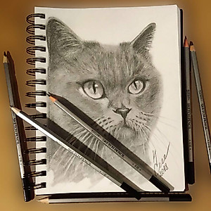 dainayw Professional Drawing Sketching Pencils Set, 24 Pieces Art Pencils (14B - 9H), Graphite Shading Pencils for Beginners & Pro Artists