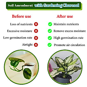 Legigo 4QT All Natural Horticultural Charcoal- Activated Hardwood Plant Charcoal for Soil Amendment, Conditioning Bonsai Soil, Succulent Soil, Terrarium Supplies, Indoor Plant Potting Soil