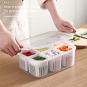 Fridge Organizer, Divided Veggie Tray with Lid, Plastic Divided Veggie Storage Containers, Plastic Fresh Produce Saver Keeper for Refrigerator Produce Beans Fruits Organzation(#1)