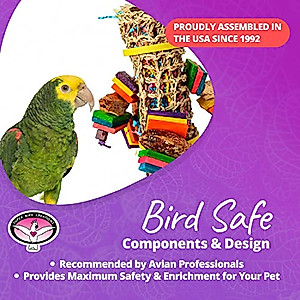 Super Bird Creations SB887 Rolie Polie Bird Toy, Large Bird Size, 13" x 8" x 8"