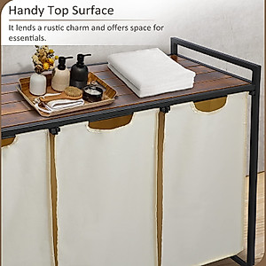 Graciadeco Pull Out Laundry Hamper 3 Compartment Laundry Sorter with Shelf 3 Section Laundry Basket with 3 x 16 Gallons Removable Bags, Beige