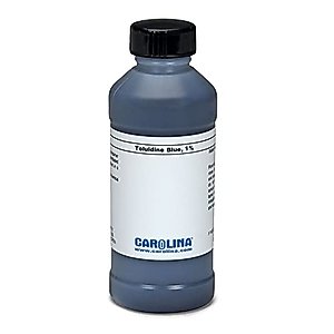 Toluidine Blue O, 1% Aqueous, Laboratory Grade, 100 mL