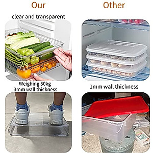 vacane 2 Pack Refrigerator Organizer Bins,Food Storage Container with Lids for Fruit, Vegetables, Bacon Meat Cheese Keeper Marinade Tray, Stackable Freezer Storage Containers