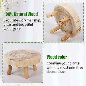 ANPHSIN Pack of 2 Mini Wooden Stool Display Stand- Round Decorative Flower Shelf Bonsai Rack Garden Plant Pot Riser Holder Modern Plant Stand with Wood Grain for Indoor Outdoor Home Decoration (S, M)