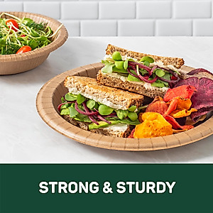 Dixie EcoSmart 100% Recycled Fiber Paper Plates, 8.5in, 50 Count, Medium Disposable Plate Great for Light Breakfast, Lunch, and Dinner Size