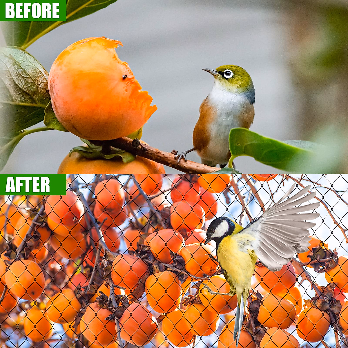 Bird Netting for Chicken Coop - 50x50ft Poultry Netting Over Chicken Run & Chicken Pen, Heavy Duty 2.4” Mesh Garden Net for Blueberry Bushes, Fruit Trees and Vegetable Against Birds, Deer, Squirrels