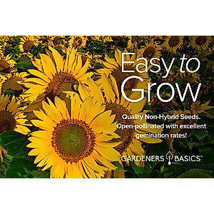 Sunflower Seeds for Planting Flowers (5 Pack Mix) - Velvet Queen, Dwarf Sunspot, Lemon Queen, Giant and Mammoth Bulk Mix of Regular Sunflower Seeds for Outdoor Flower Garden by Gardners Basics