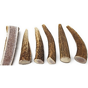Big Dog Antler Chews 6 Pack for Small Dogs | All Natural Organic Deer and Elk Antler Dog Chews | 0 to 20 Pounds
