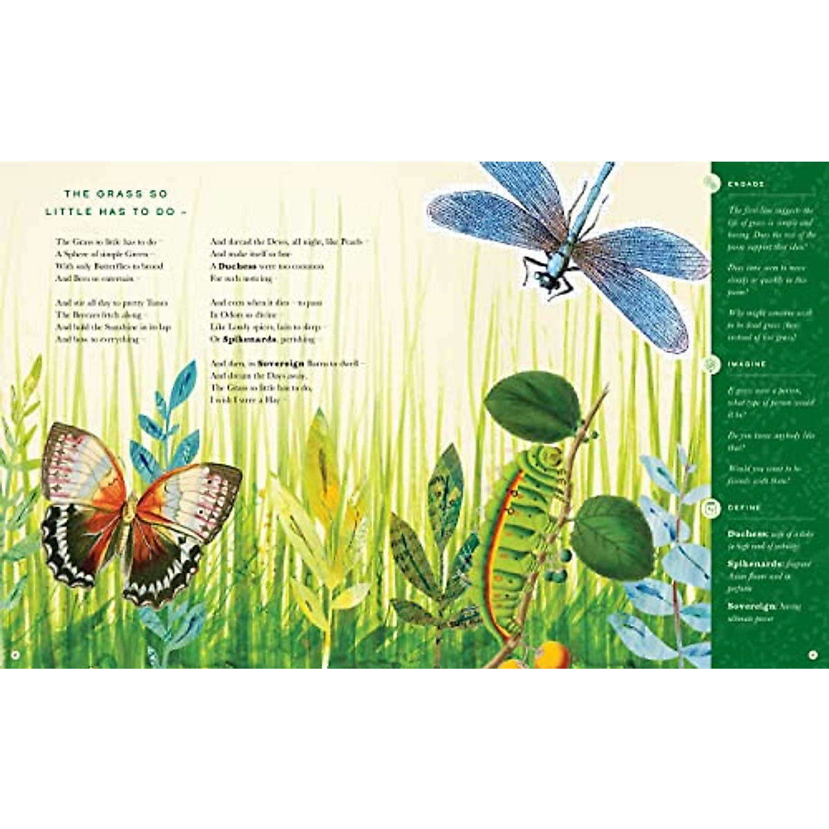 The Illustrated Emily Dickinson: 25 Essential Poems (The Illustrated Poets Collection, 1)