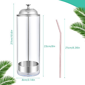 Worldity 1Pcs Plastic Straw Dispenser and 100Pcs Drinking Straw, Straw Holder with Stainless Steel Lid, Transparent Straw Dispenser for Pencils, Stir Sticks, Drinking Straw