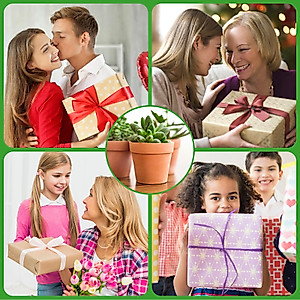 FAMILY 20Pack 3 inch Terra Cotta Color Solid Clay Indoor Mini Flower Pots