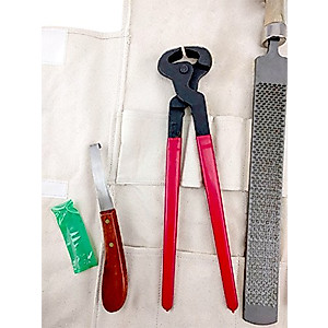 Southwestern Equine Farrier - Shoeing Kit