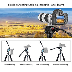 SIRUI Fluid Video Head AM-5V, Lightweight Tripod Head with Quick Release Plate for Video Camera