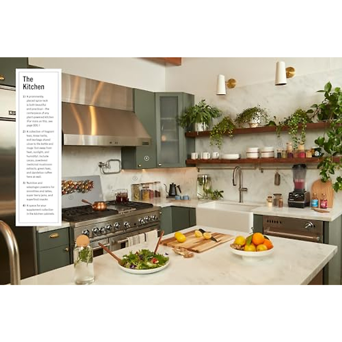 The Plant Medicine Protocol: Unlocking the Power of Plants for Optimal Health and Longevity