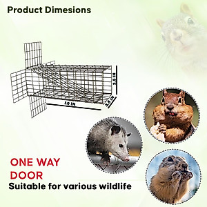 Rhino Excluders® S35 One Way Door for Squirrels, Rats, Chipmunks and Similar Size Rodents - Live Trap Alternative