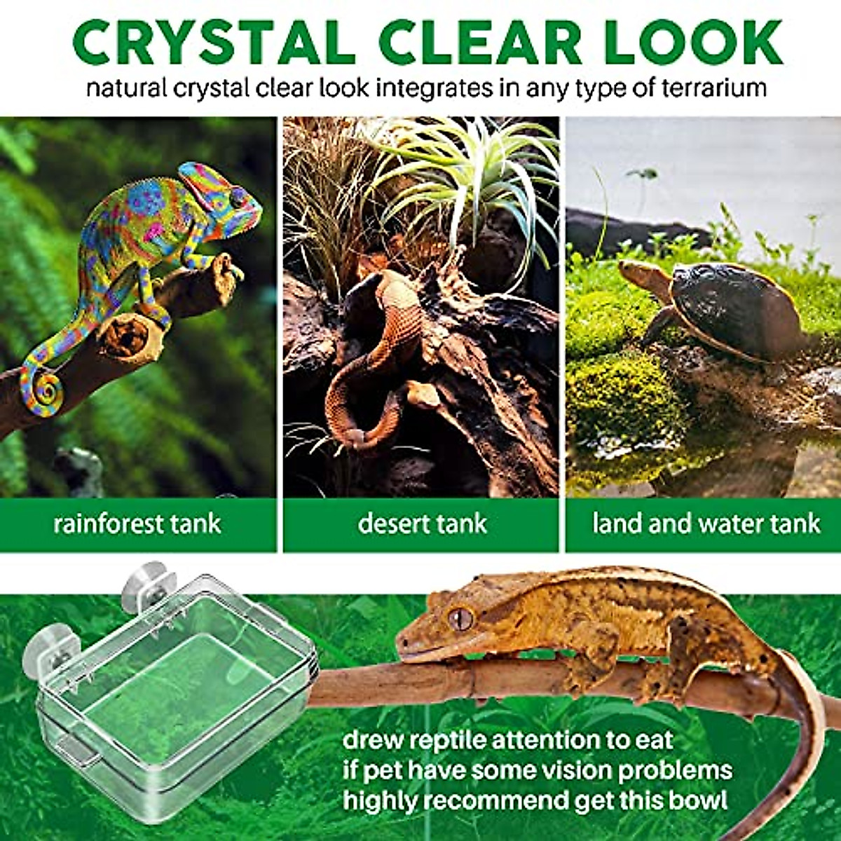 2 Pack Reptile Water Food Dish 1 Feeding Tongs,Tank Accessories for Lizard Bearded Dragon Leopard,Crested Gecko Chameleon Tortoise Frog Hermit Crab Iguana,Superworm Dubia Mealworm Escape Proof Bowl