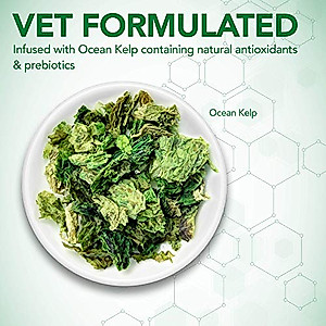 Vet's Best Probiotic Soft Chews Dog Supplements, 30 Day Supply