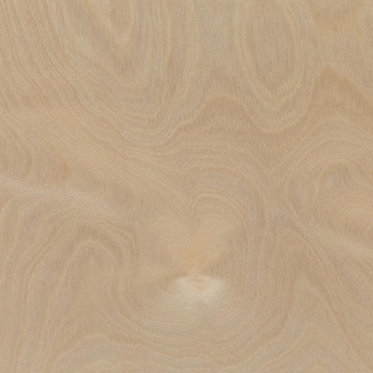 Flash Furniture Wooden 2 Section School Classroom Storage Cabinet for Commercial or Home Use - Safe, Kid Friendly Design - 30" H X 48" L (Natural)