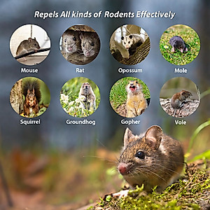 Homsor Rodent Repellent 20 Pack Natural Peppermint Oil Mouse Repellent Balls Pet Safe Mice Deterrent to Keep Rat Mice Mouse Rodent Out of Indoor House Outdoor Car Engines RV Garage Chicken Coop