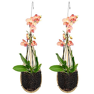 Orchid Hanging Basket with Metal Hook 4 Inch Bamboo Orchid Hanging Pot Planter Decorative Hanging Orchid Planters for Indoor Outdoor Patio Garden Decoration (2 Packs)