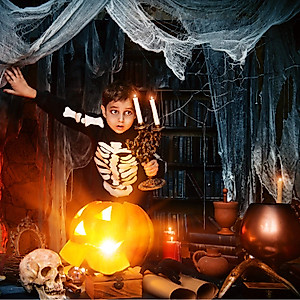 Halloween Creepy Cloth Decoration Scary Halloween Gauze Cloth Spooky Halloween Decorations for Party Outdoor and Indoor Spook Houses Supplies(8 Yards x 30 Inches, Gray)