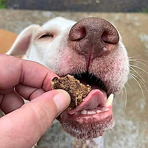 Green Butterfly Brands Beef Dog Treats – Made in USA Only – All Natural, Meaty Beef Tips – Premium Slow Roasted American Beef – Grass Fed, Farm Raised – Crunchy, Grain Free Training Treat, 8 Ounces