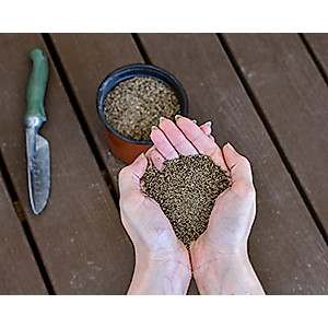 All Natural Vermiculite Soil Additive (1 Quart); Medium Grade Horticulture Soil Amendment for Plants, Terrariums, Orchids