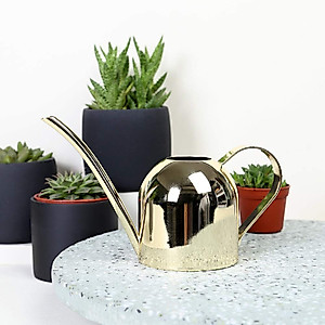 shlutesoy 500ML Stainless Steel Long Spout Home Garden Bonsai Plant Flower Watering Can Rose Gold