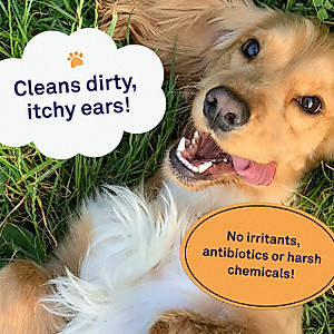 Petpost | Dog Ear Cleaner Wipes - Ultra Soft Cotton Pads in Coconut Oil Aloe Solution - Dog Ear Rinse & Cleanser 100 ct.