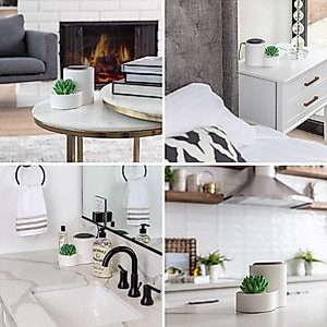 HAUS BRIGHT Echo Dot Holder | Google Mini Stand | 2nd/3rd Generation | Smart Accessories Cover Case | Clear Speaker, Mic, Lighting | Multi-Functional Planter, Money, Keys, Candy, Ring Dish