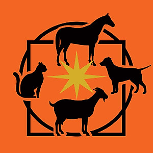 Turmeric Golden Paste for Pets 7 OZ (200grams)