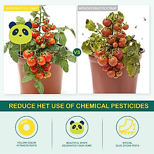 Springco Fruit Fly Traps 53 Pack Panda Gnat Sticky Traps for Indoor/Outdoor House Plants Fungus Traps Insect Catcher for Mosquitoes, Bug,Fungus Gnats,Pest Insect Catcher Killer (53pack（36panda+6+11）)