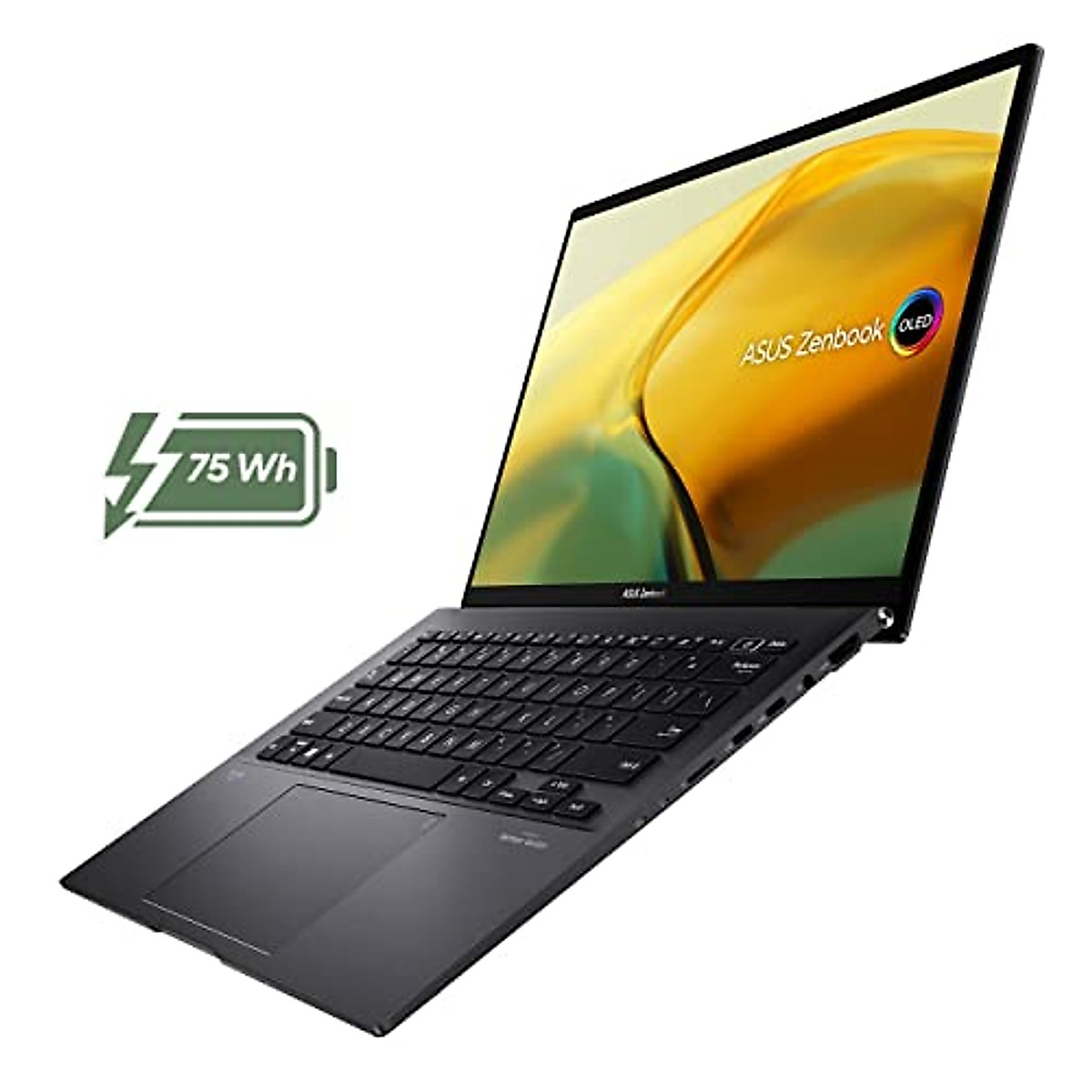 Asus ZenBook 14 OLED UM3402 14/inch QHD+ Touchscreen(AMD Ryzen 7-5825U,16GB RAM,512GB SSD,8-Core(Beat i7-1165G7))Business Laptop,Backlit,Fingerprint,19-Hr Battery,IST SD Card,Win 11 Home - 2023 Black
